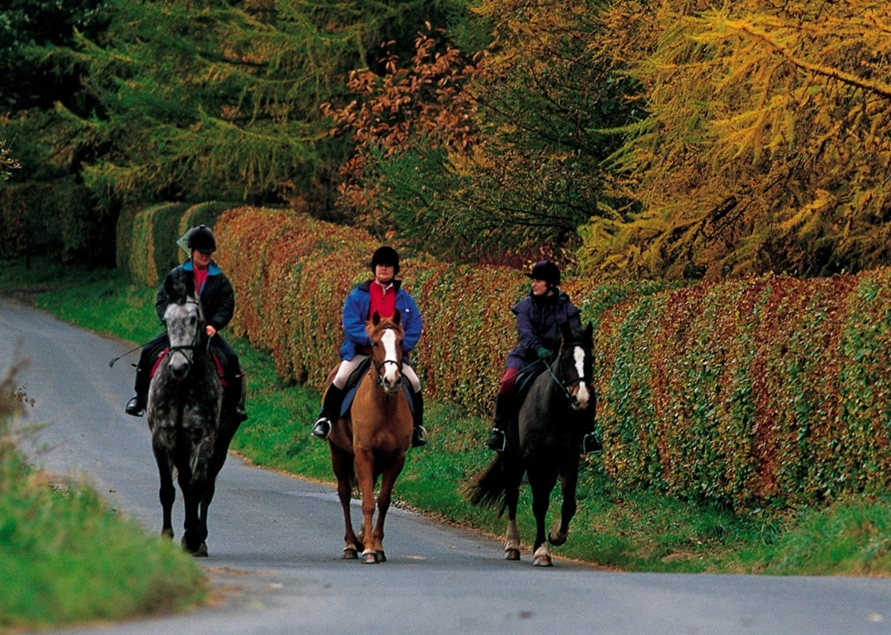 Kailzie Equestrian Centre, Peebles – Horse Riding | VisitScotland