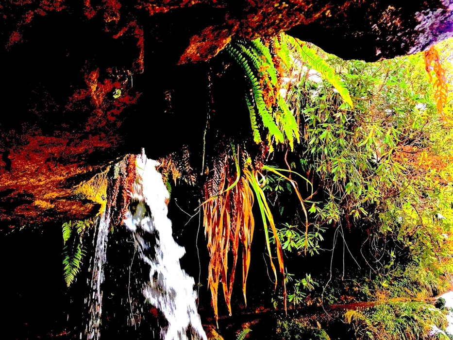 Falkland Estate, Falkland – Walking | VisitScotland