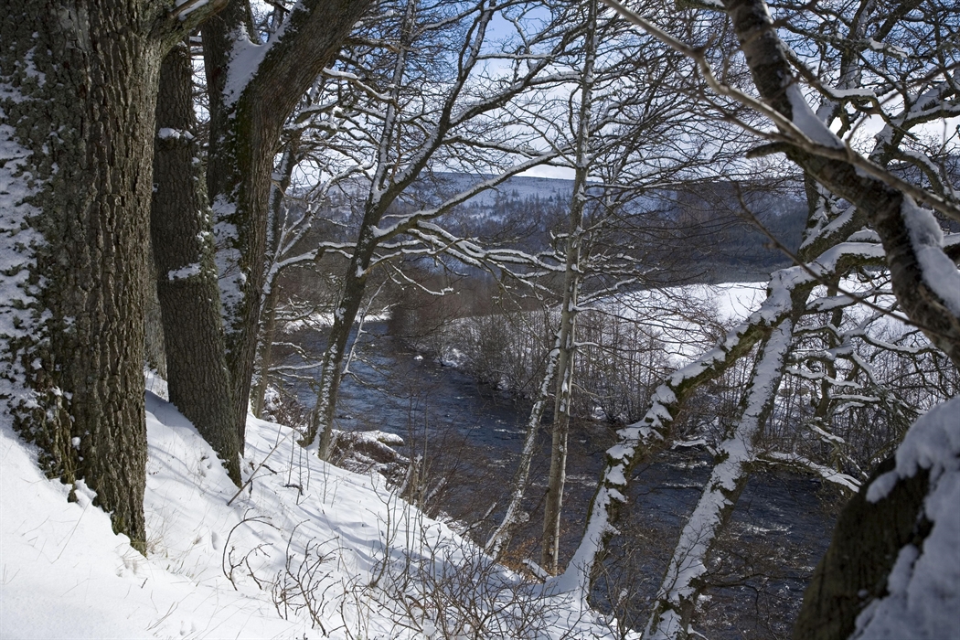 Strathdon & Cockbridge Visitor Guide - Accommodation, Things To Do ...