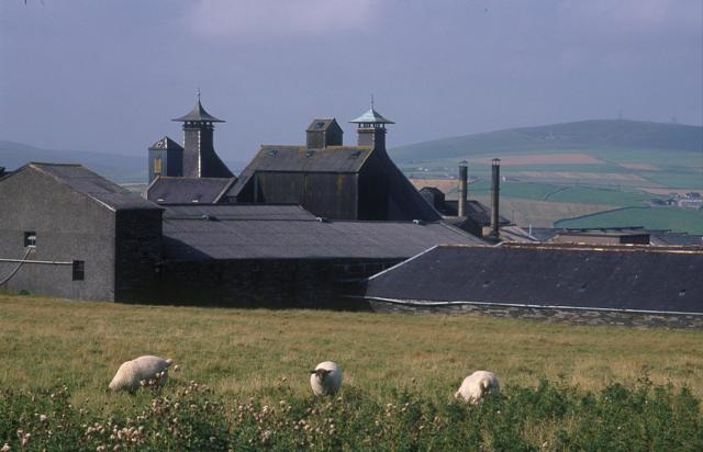 Holm Visitor Guide - Accommodation, Things To Do & More | VisitScotland