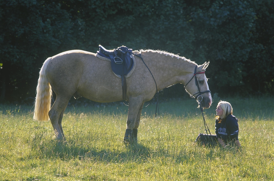 Knapdale Forest, Argyll & The Isles – Walking | VisitScotland