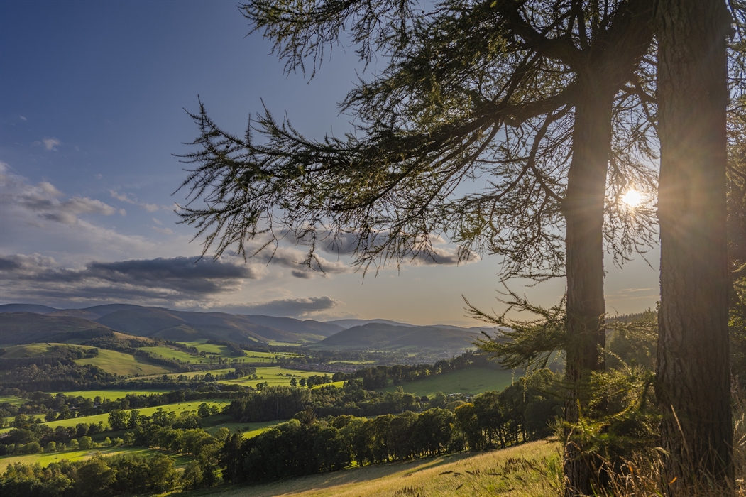 Forest Holidays - Glentress Forest, Peebles – Self Catering | VisitScotland