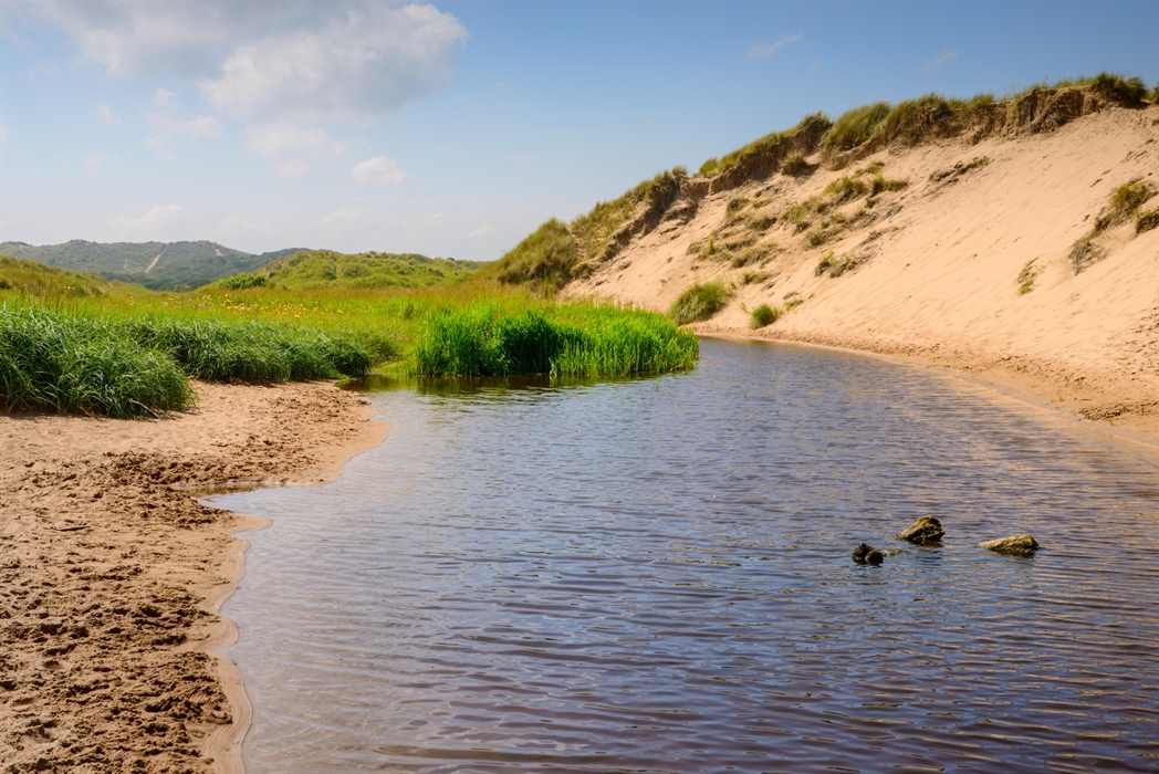 Balmedie Visitor Guide - Accommodation, Things To Do & More | VisitScotland
