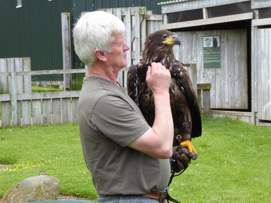 The North East Falconry Visitor Centre, Huntly – Wildlife | VisitScotland