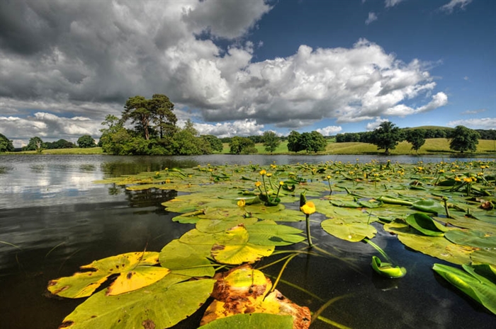 Douglas Visitor Guide - Accommodation, Things To Do & More | VisitScotland