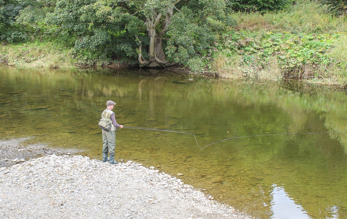 Riverside Caravan Park, Hawick – Fishing | VisitScotland