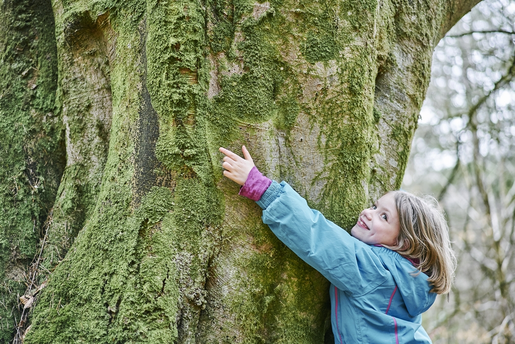 Kirkhill Forest, Dyce – Forests & Woodlands | VisitScotland