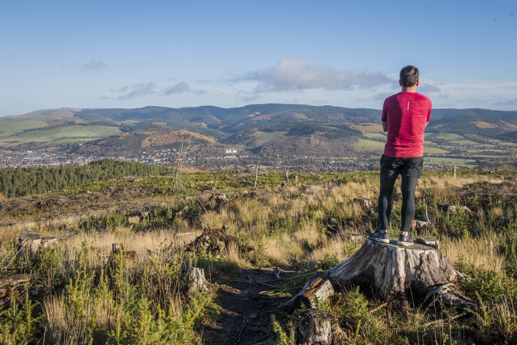 Cademuir Forest, Near Peebles – Forests & Woodlands | VisitScotland