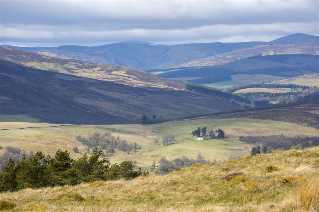 Glen Prosen, Dundee & Angus – Hills & Mountains | VisitScotland